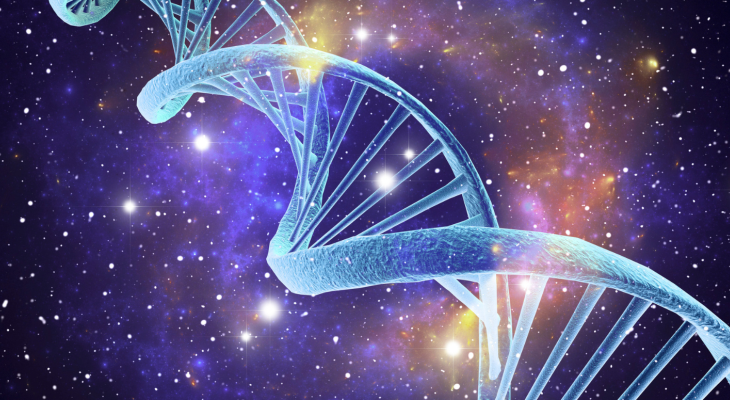 Placement Measures | Joliet Junior College